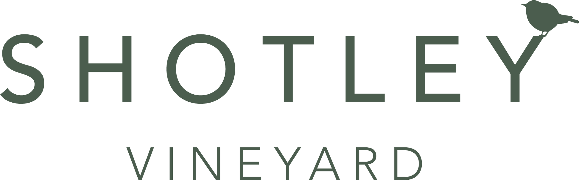 Our Story – Shotley Vineyard