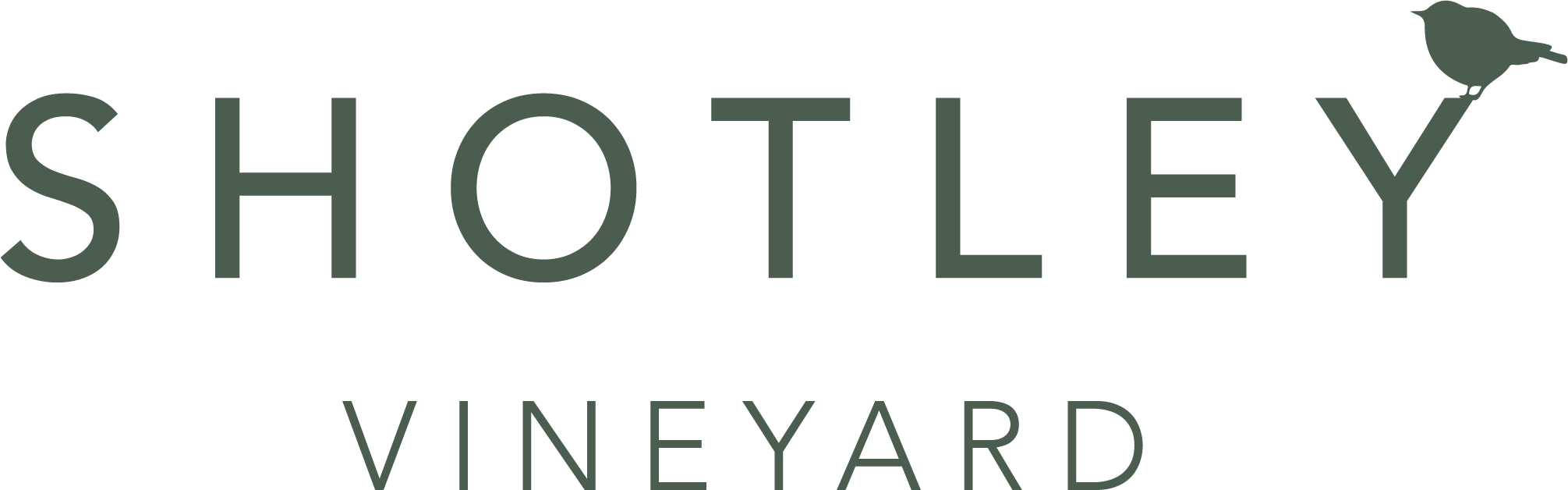 Our Story – Shotley Vineyard